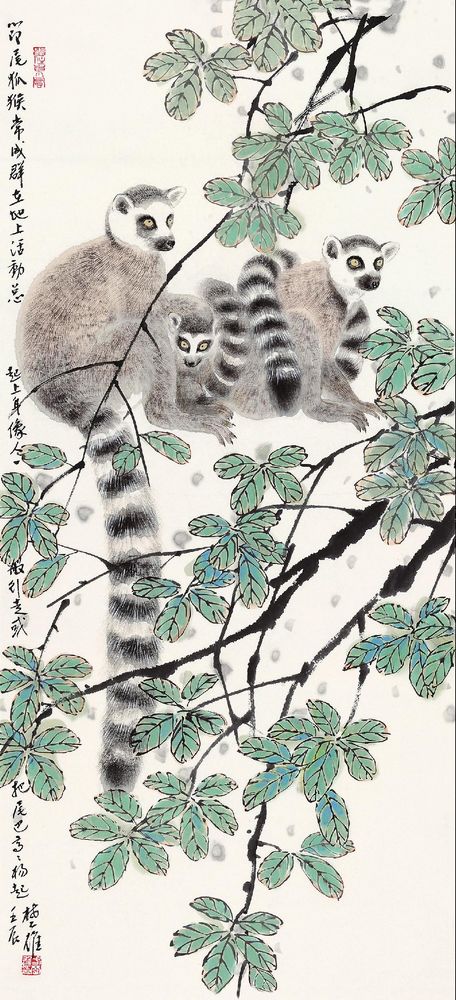 环尾狐猴国画 环尾狐猴画 伤感说说吧